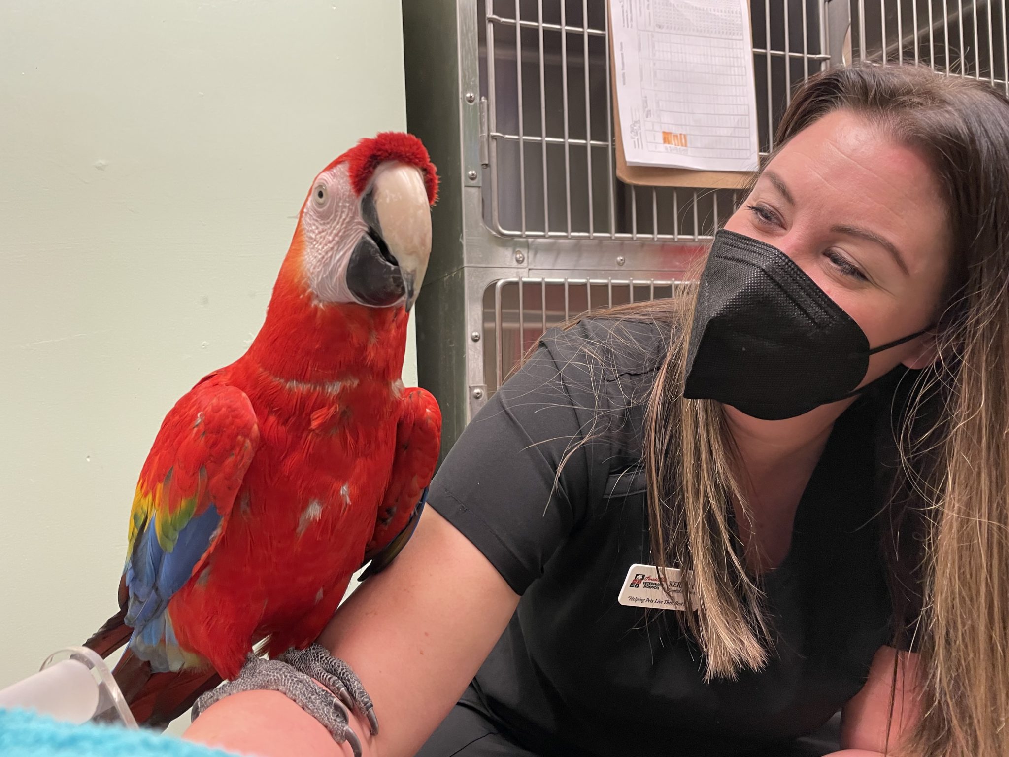 Exotic Pets for Pets | FloridaWild Integrative Veterinary Center ...